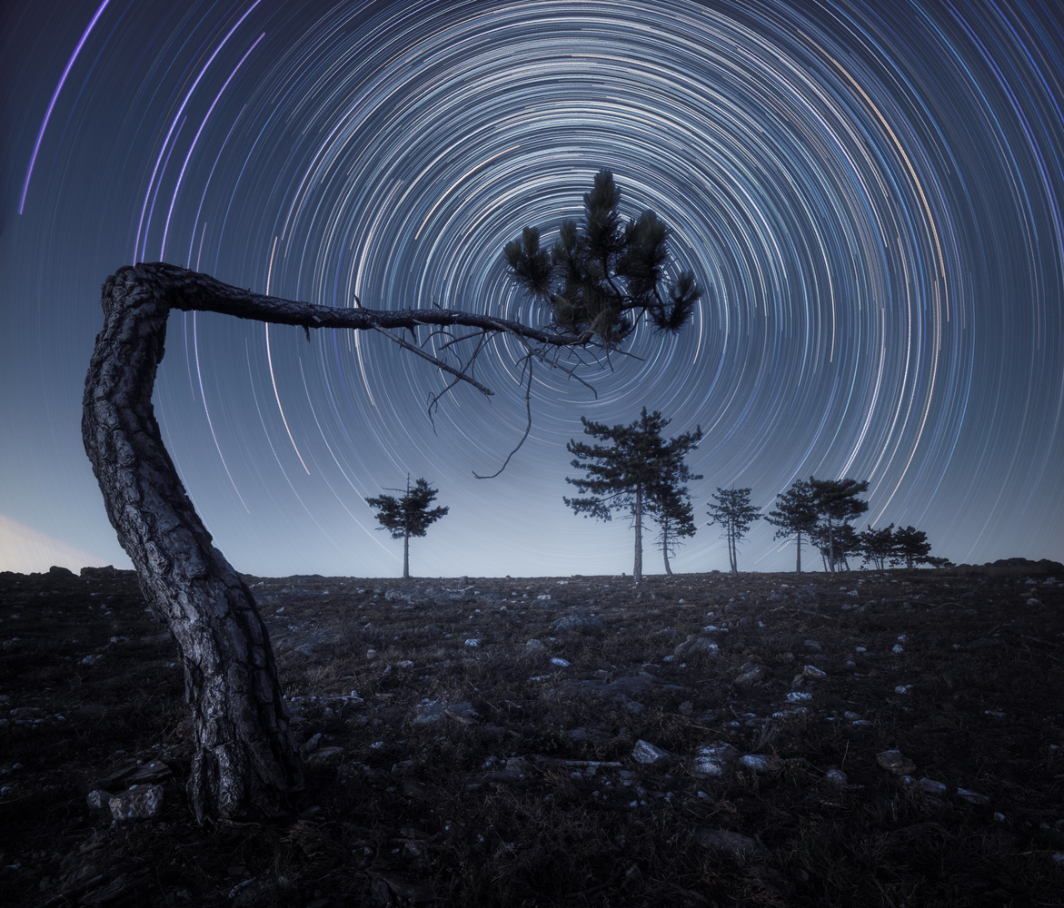 Hypnosis - Tiago Marques on Fstoppers