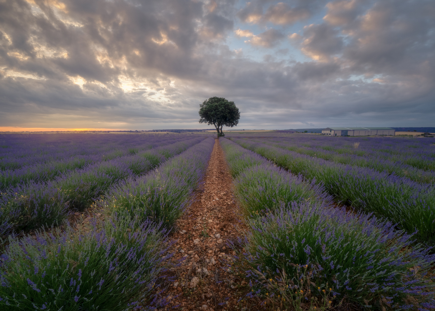 The Sunrise - Tiago Marques on Fstoppers