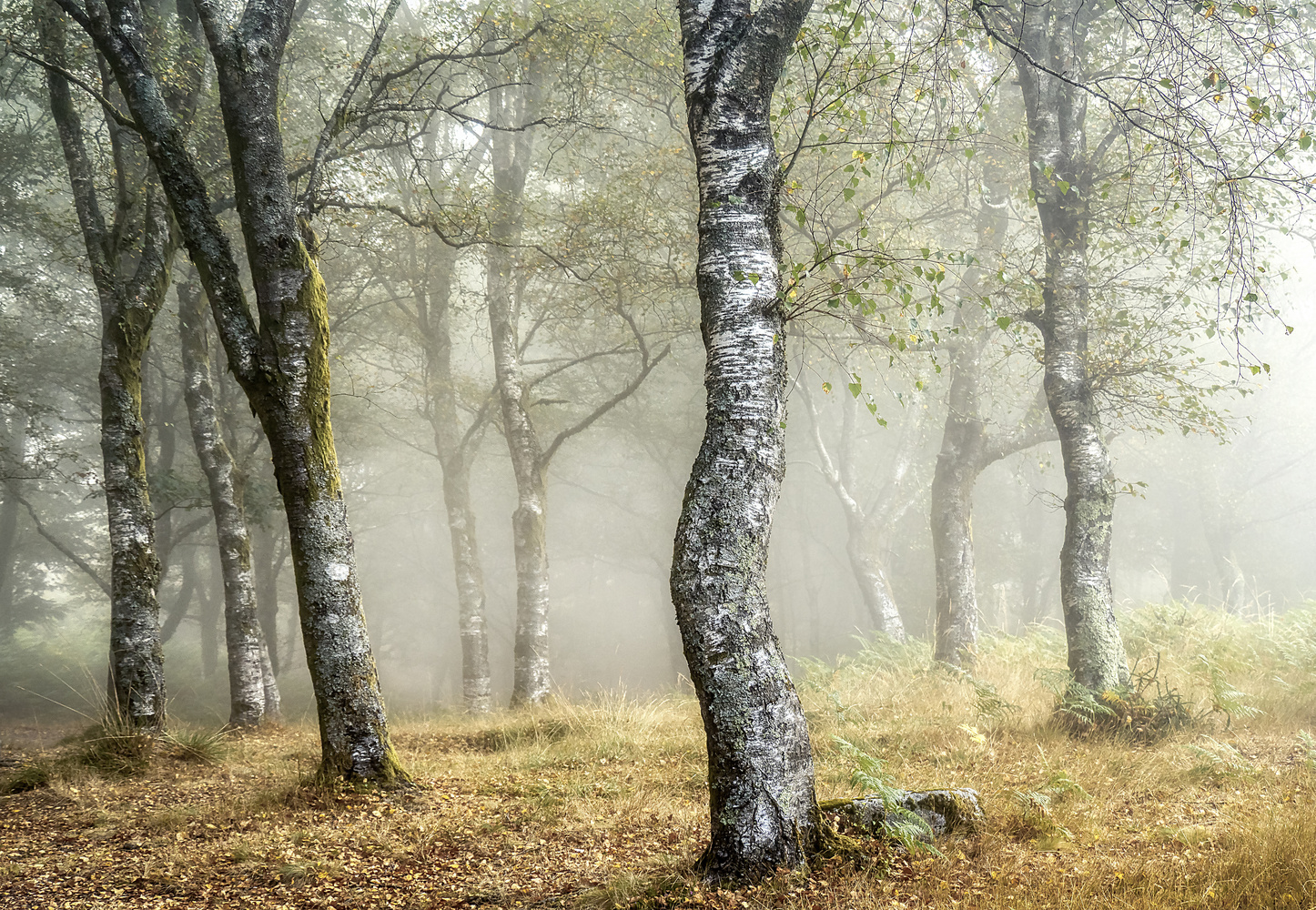 Early Autumn - Tiago Marques on Fstoppers