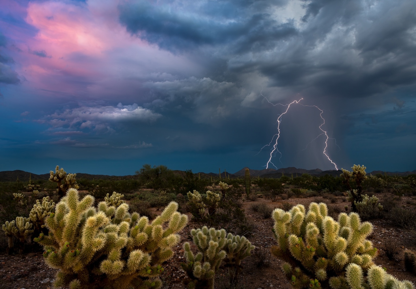 Arizona Monsoon - Tyler Sorensen on Fstoppers