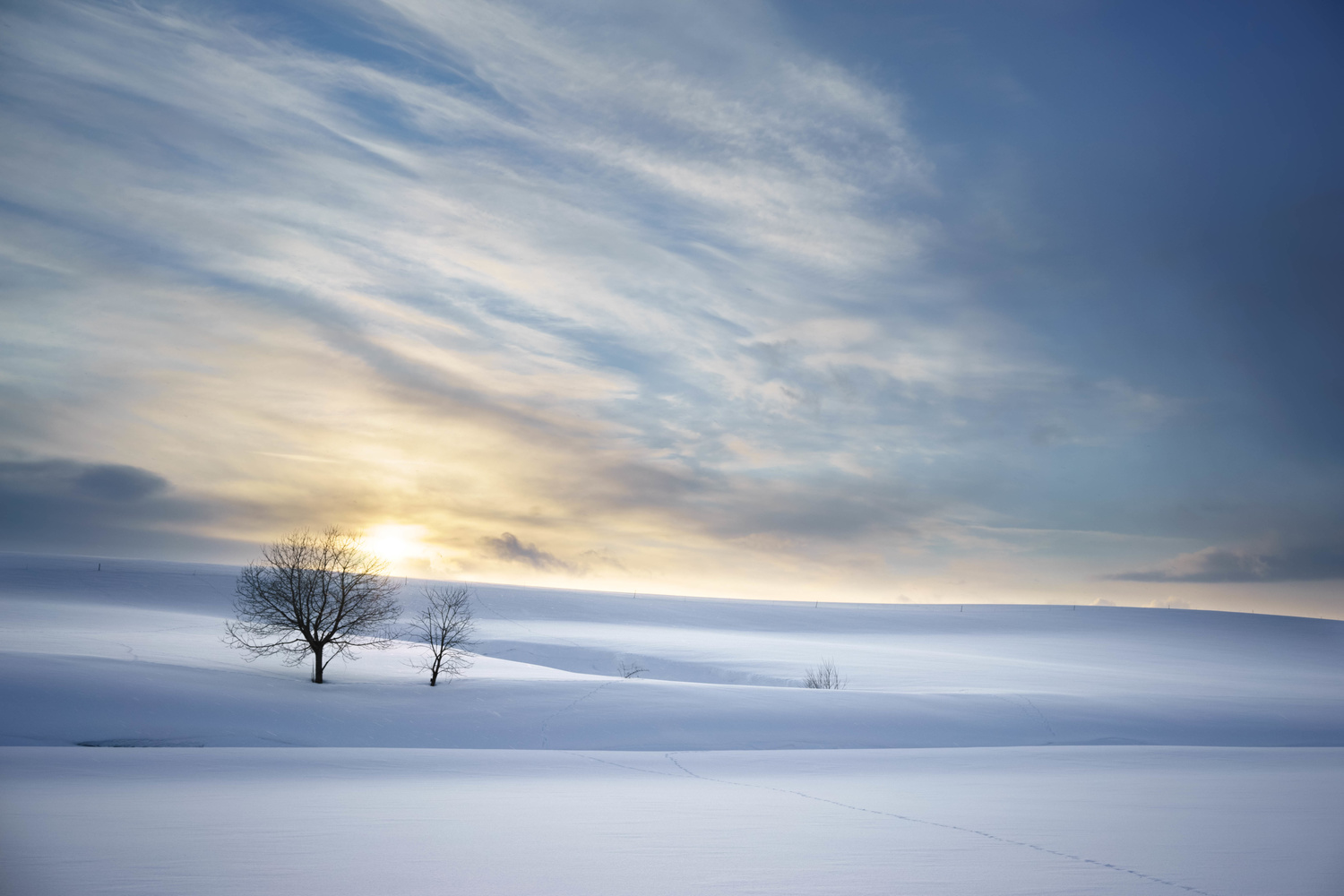 Color of Snowfield - Roy Iwasaki on Fstoppers
