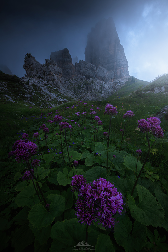 ¨Mystical Needles¨ - Hugo Valle on Fstoppers