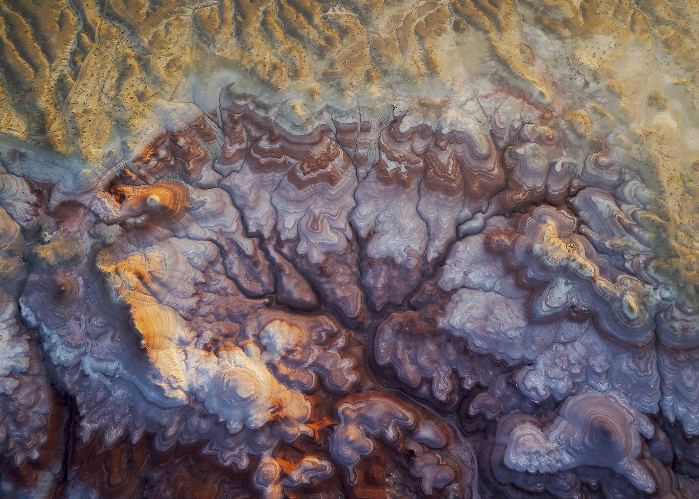 Roots - Hugo Valle on Fstoppers