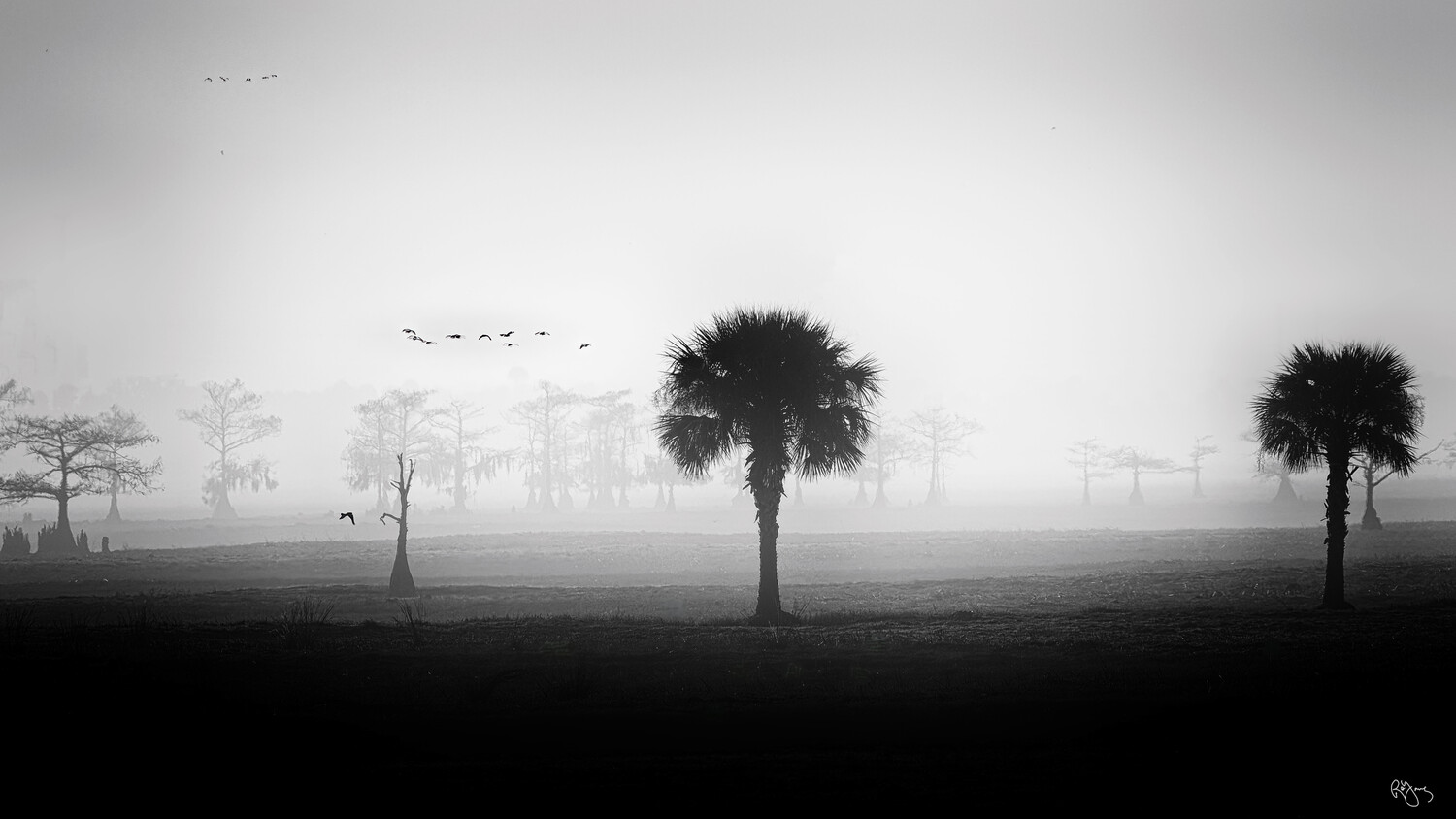Florida Morning by Roy Gipson Young | Fstoppers
