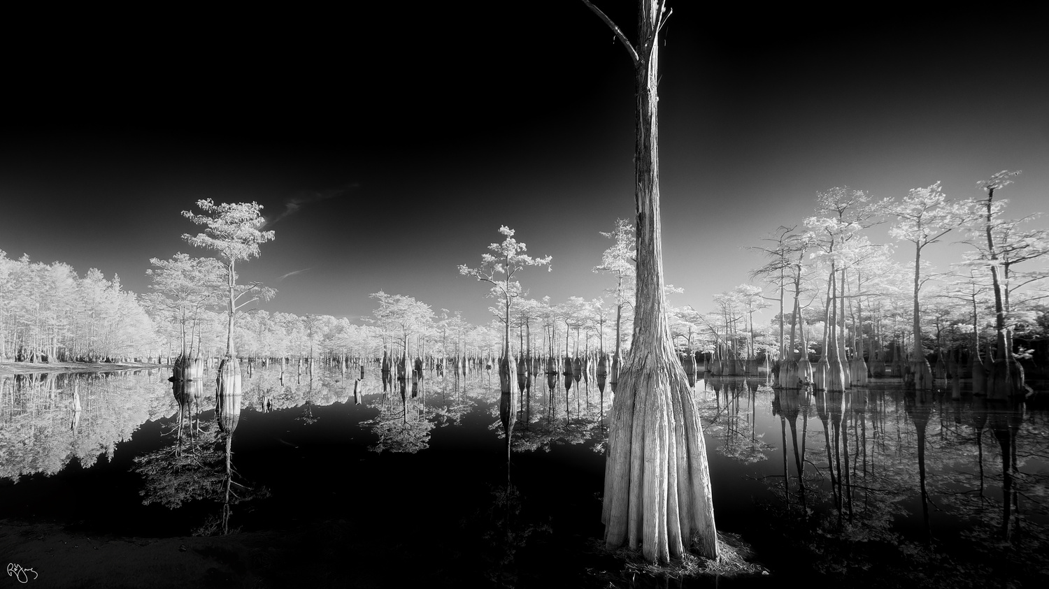 Fall Cypress | Fstoppers