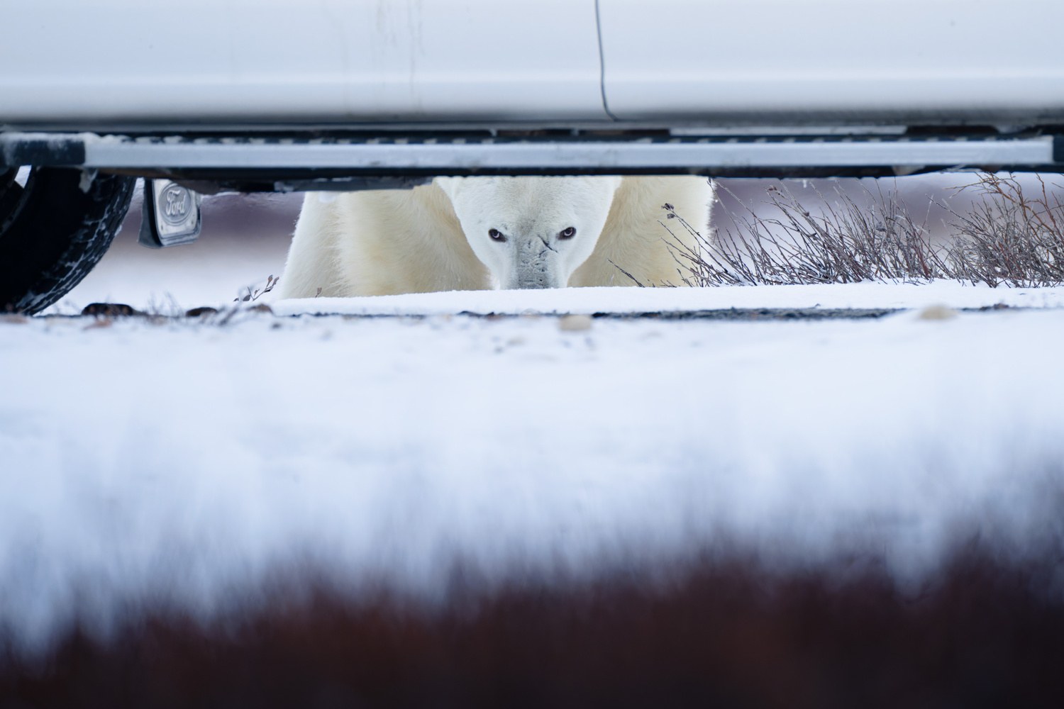 The Observer - Karthik Subramaniam on Fstoppers