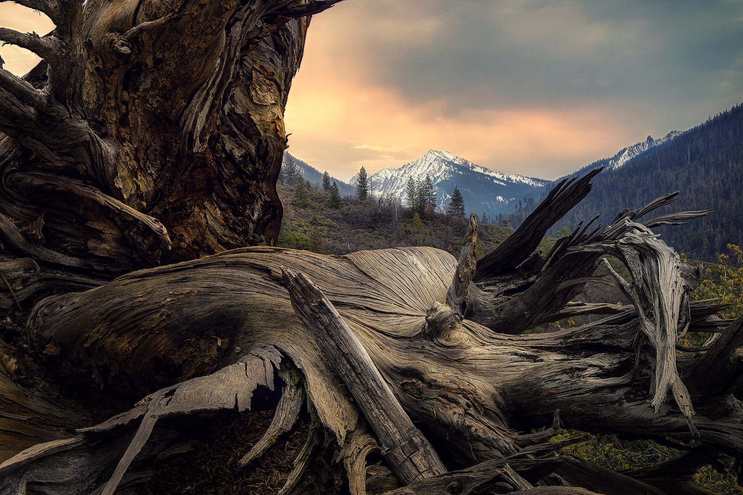 Into the Wilderness - Joe Burdick on Fstoppers