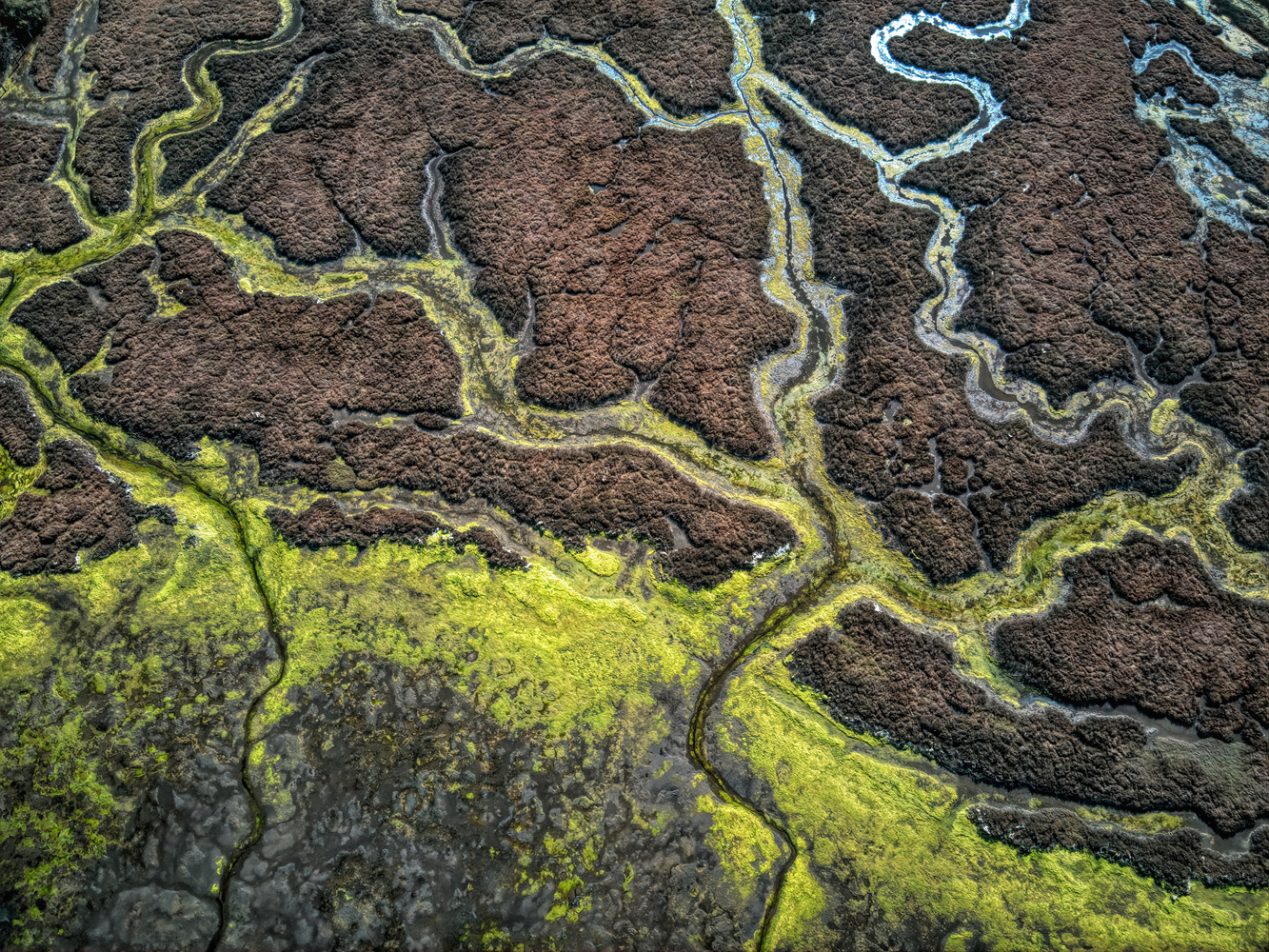 View of the Slough - Joe Burdick on Fstoppers