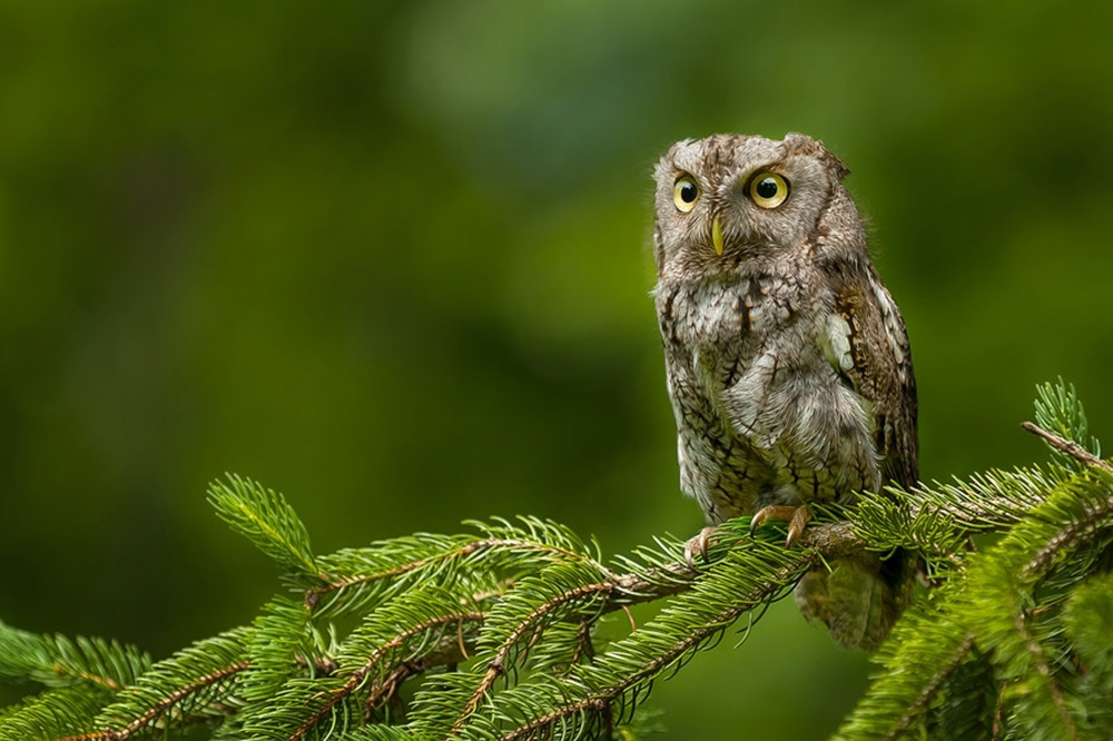 The Guardian - Gary Muth on Fstoppers