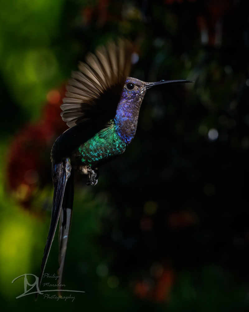 Strike a pose! by Philip Marsden | Fstoppers