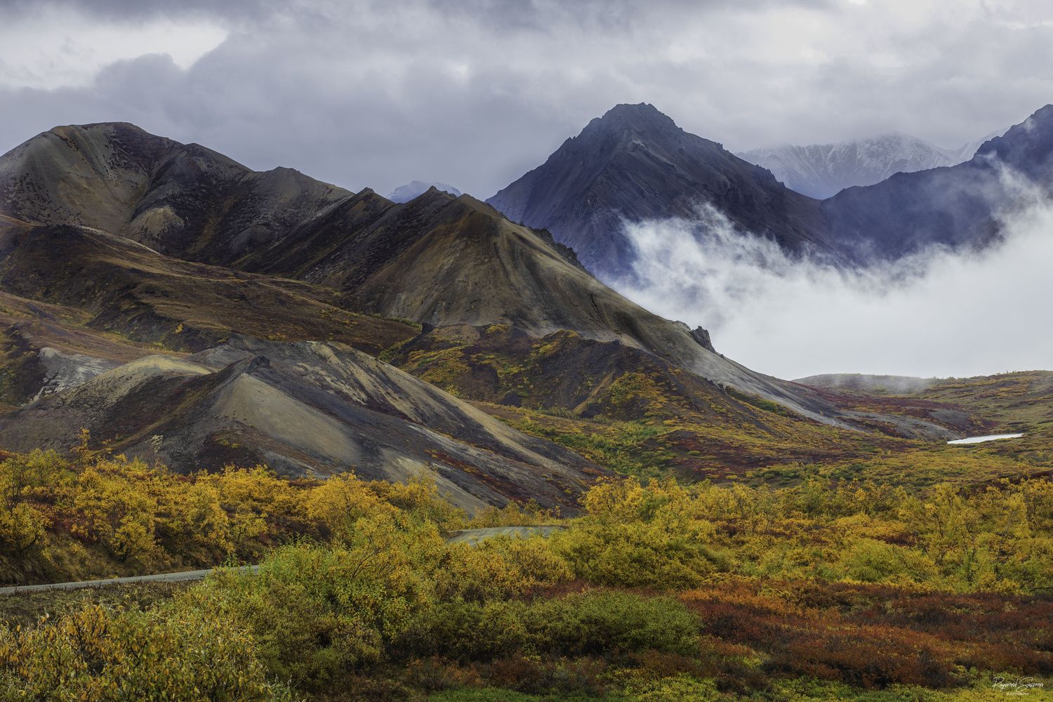 Sable Pass - Denali Rd - Raymond Sassoon on Fstoppers