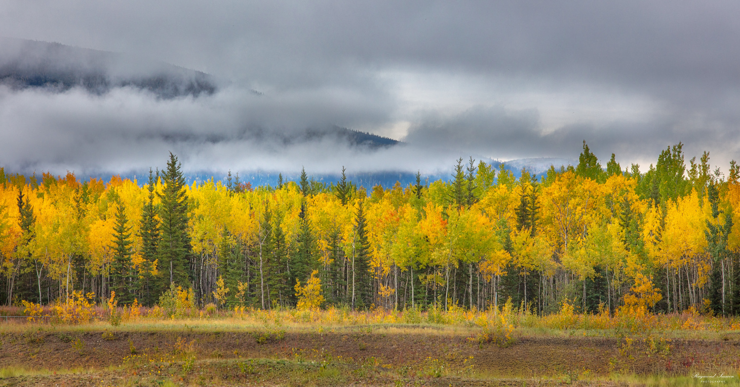 Autumn Foliage Showcase - Raymond Sassoon on Fstoppers