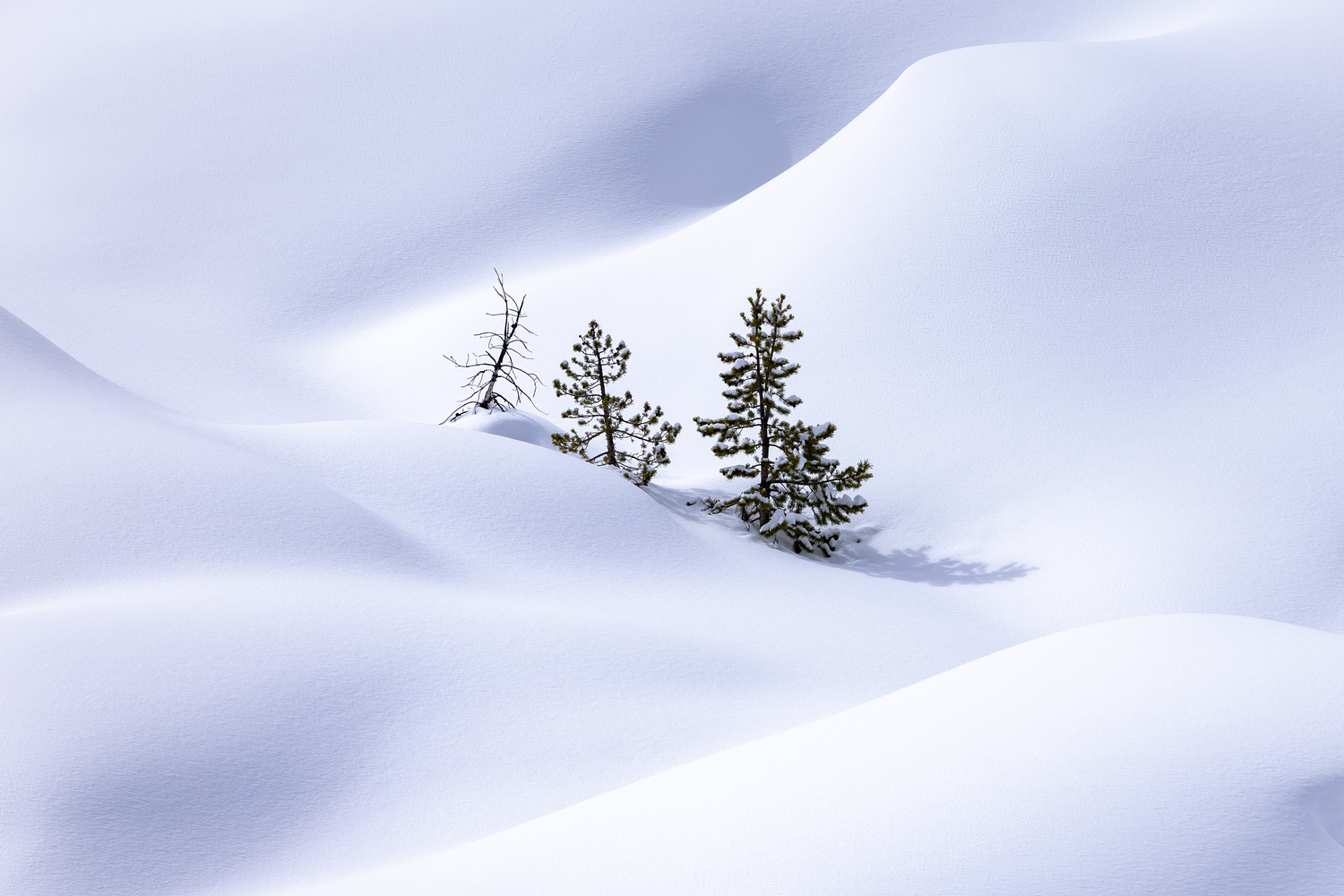 Pure - Peter Dyndiuk on Fstoppers