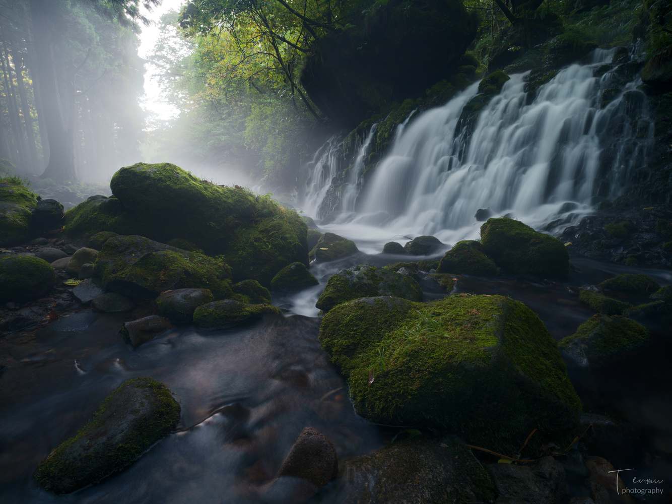 Mist and moss - Tenmu Oono on Fstoppers