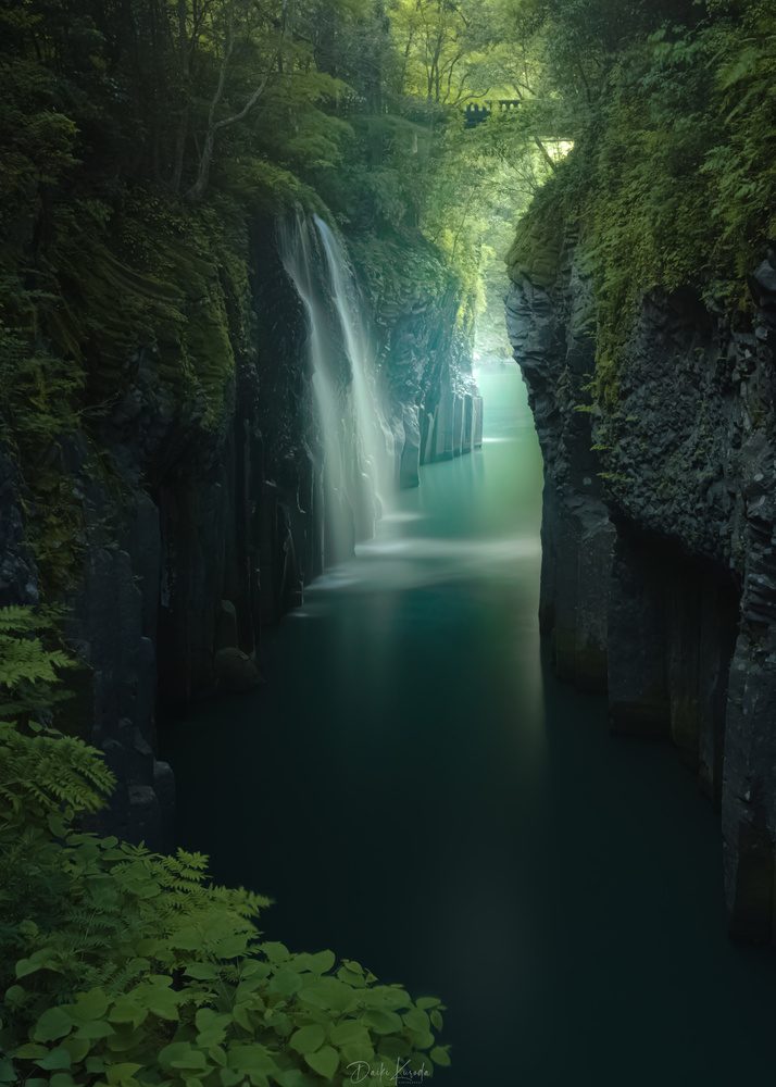 Fresh green by Daiki Kuroda | Fstoppers