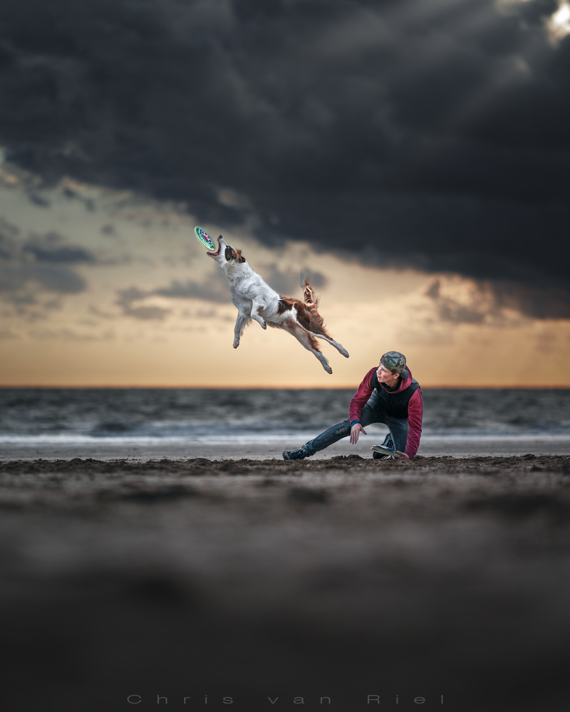 Flying furrballs: Poetry in motion - Chris Van Riel on Fstoppers