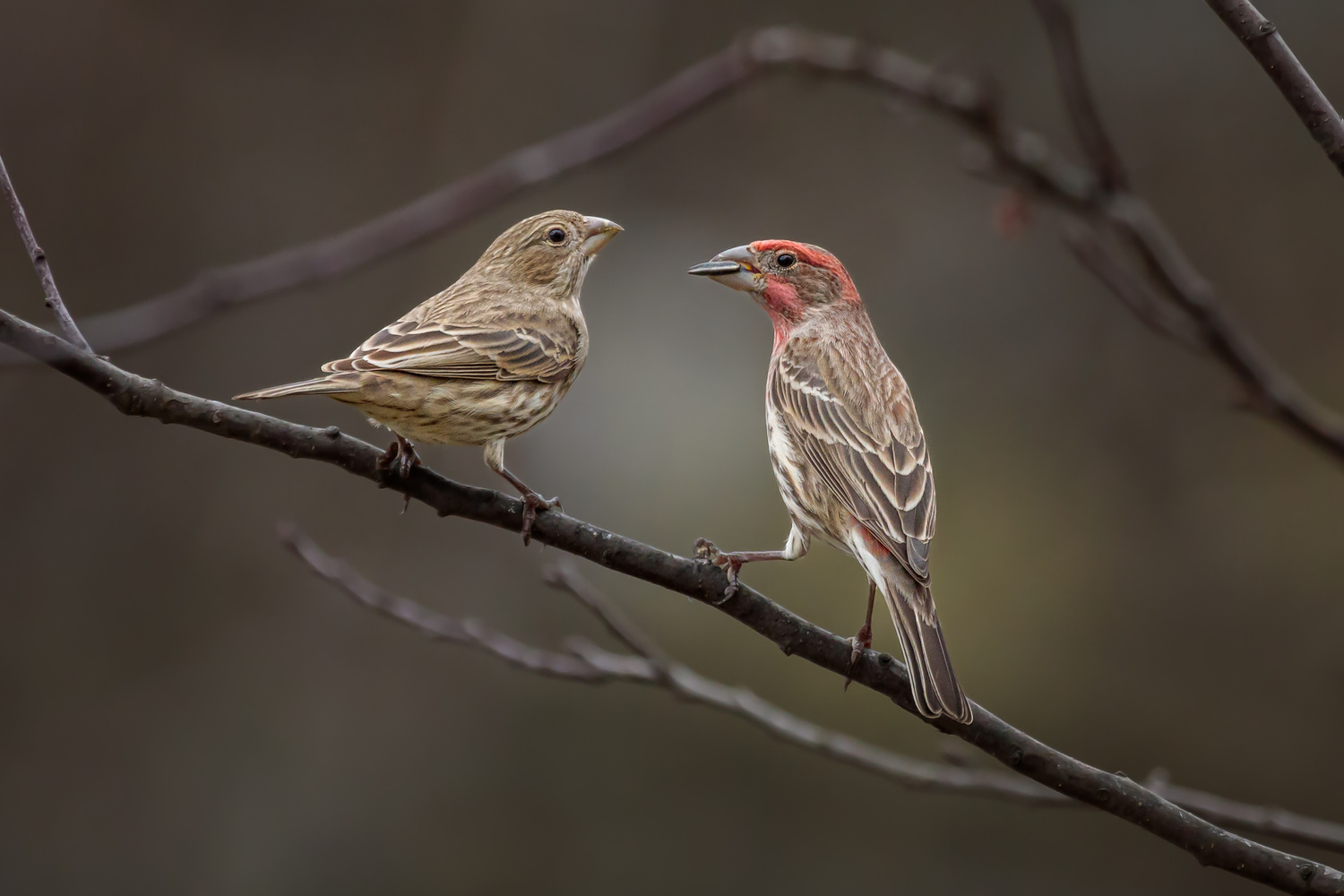Love Begins - Melody Mellinger on Fstoppers