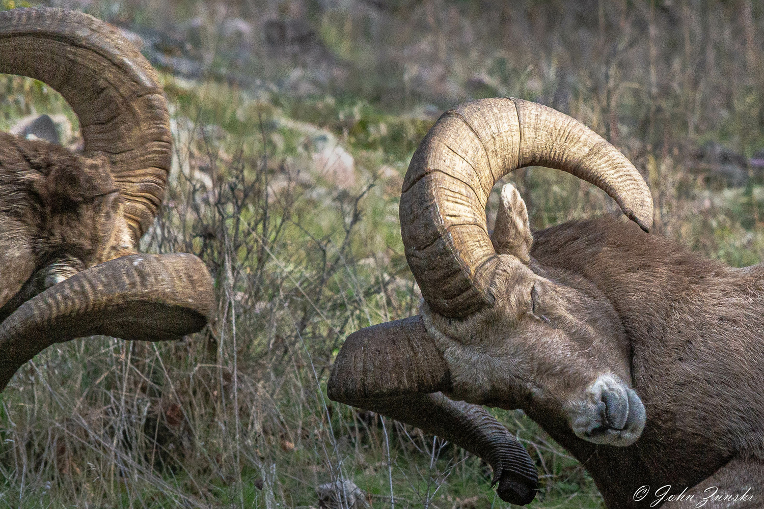 This is going to Hurt - John Zunski on Fstoppers