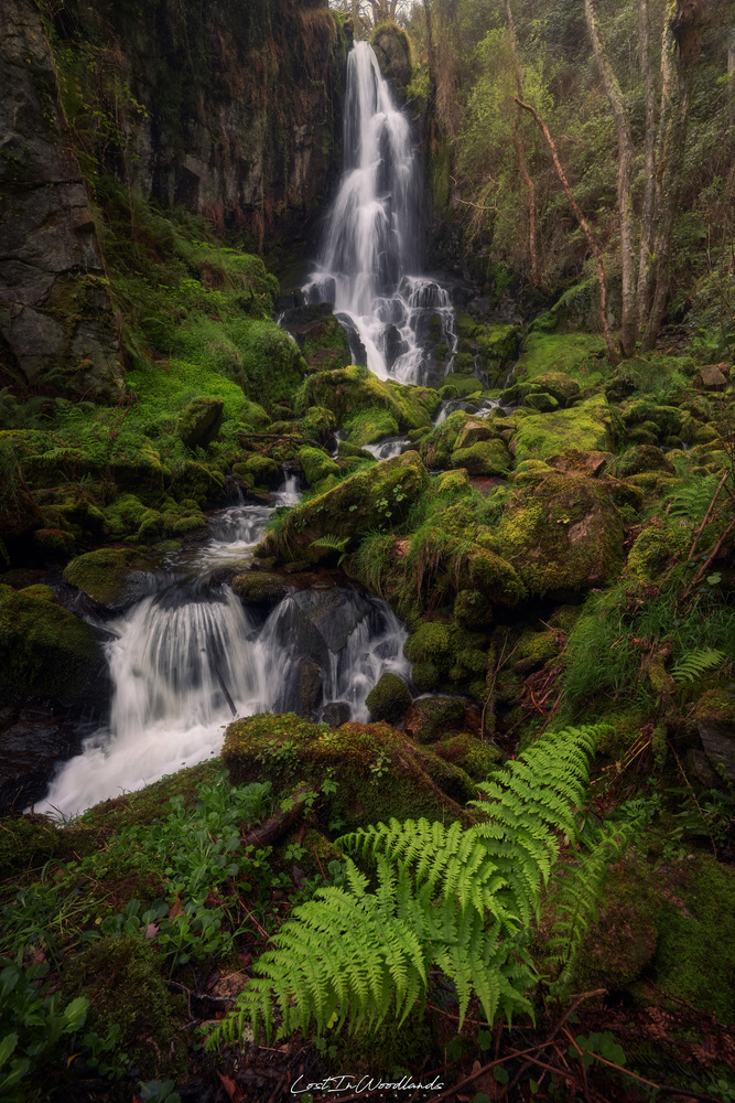 Through the Realms of Moss & Waters by Álvaro Lamas | Fstoppers