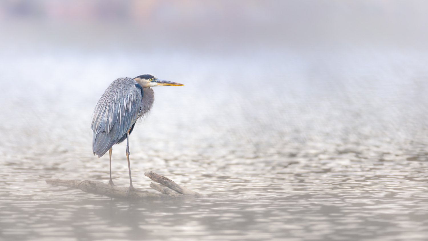 Breakfast Reservations - Jeremy Benfield on Fstoppers