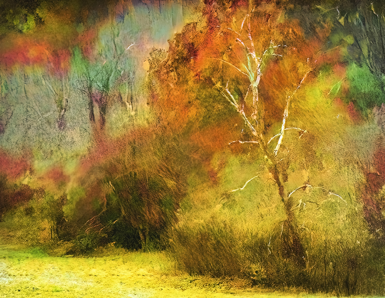 Autumn Forever | Fstoppers