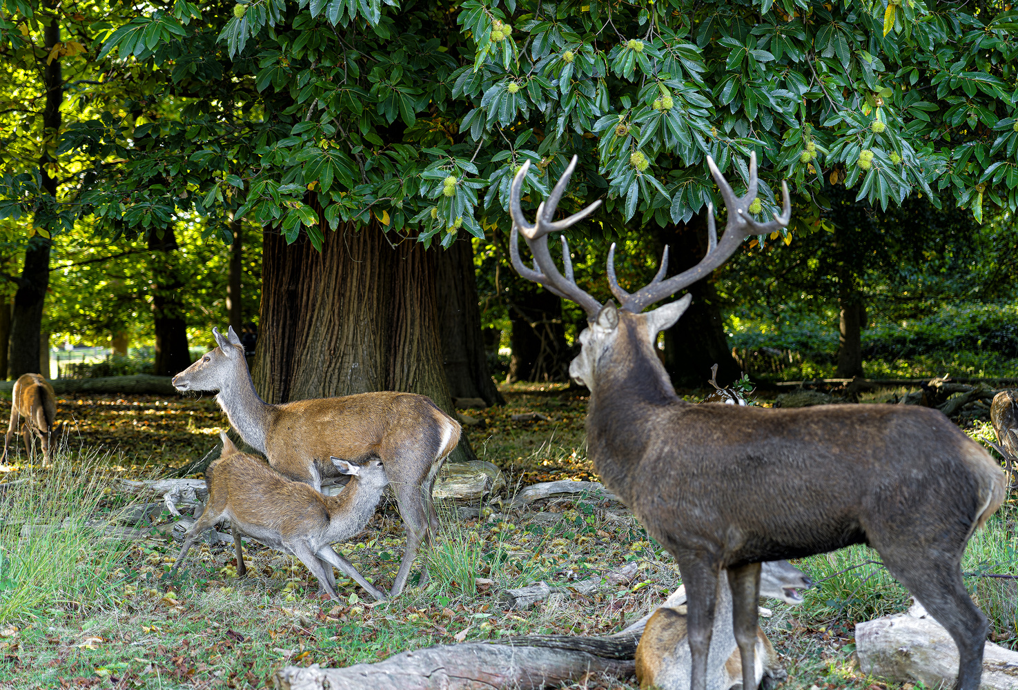 The family - Celia Sanchez Abian on Fstoppers