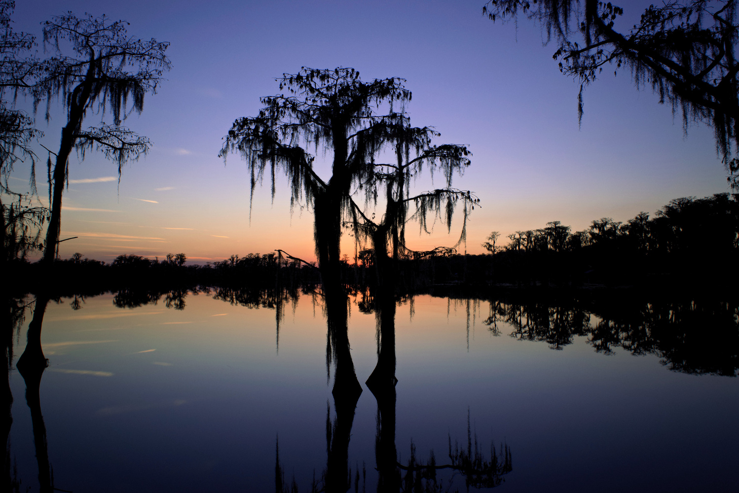 Cypress Sunset | Fstoppers
