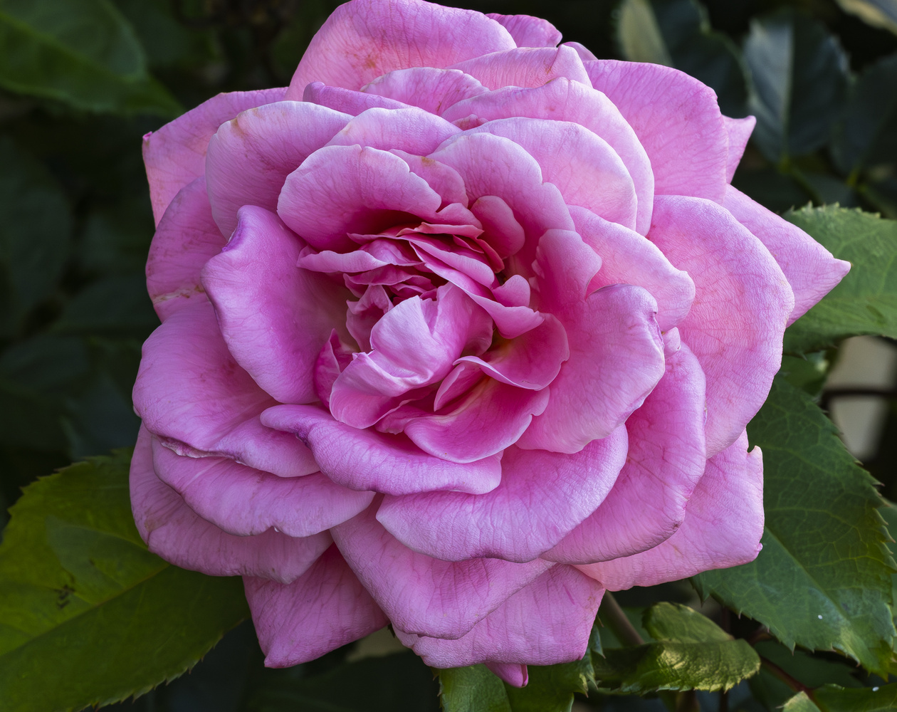 Color Contest Entry by James Bruton | Fstoppers