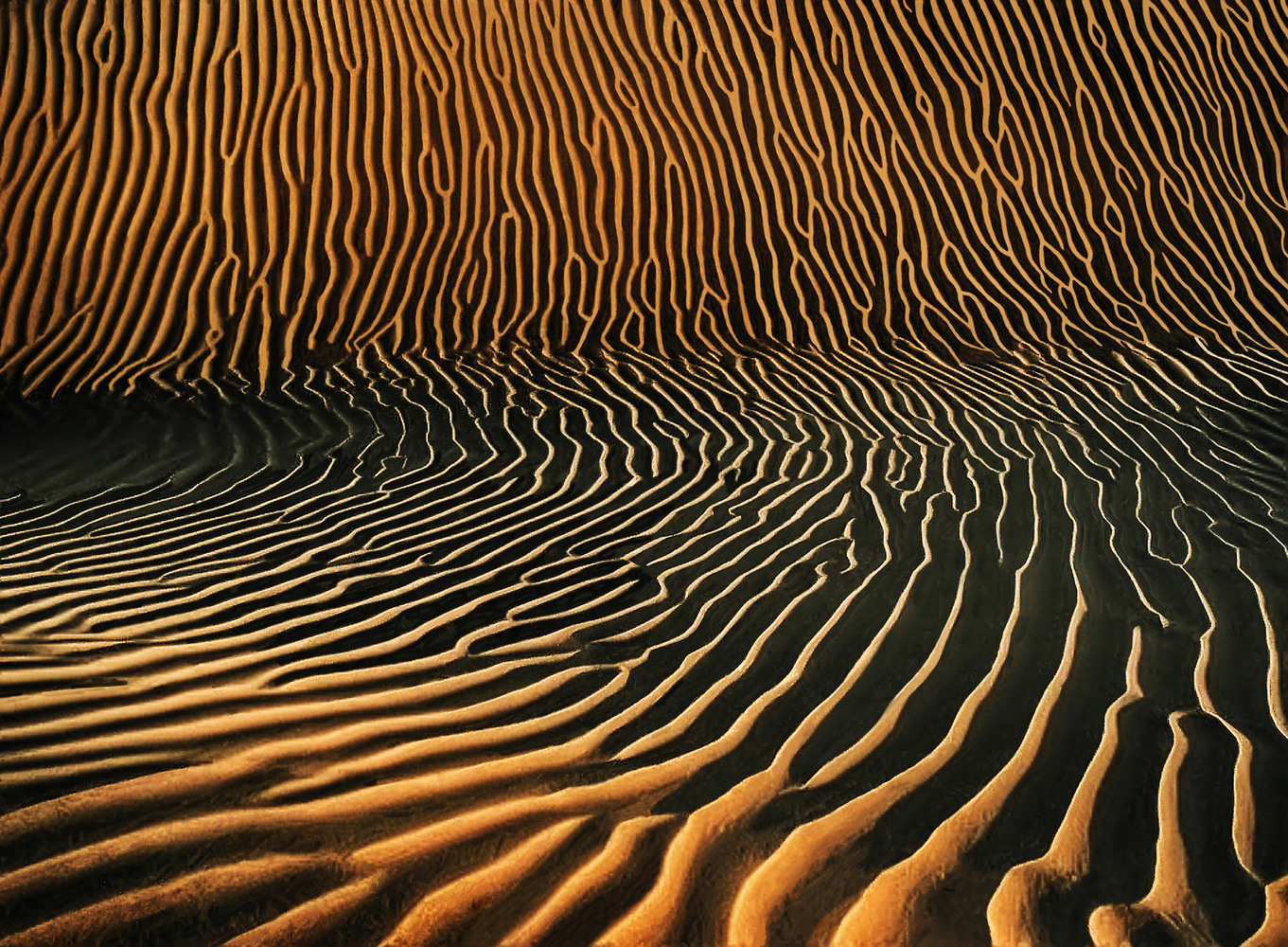 Sam Sand Dunes | Fstoppers