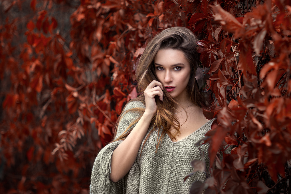 Beauty in flowers - Milan R on Fstoppers