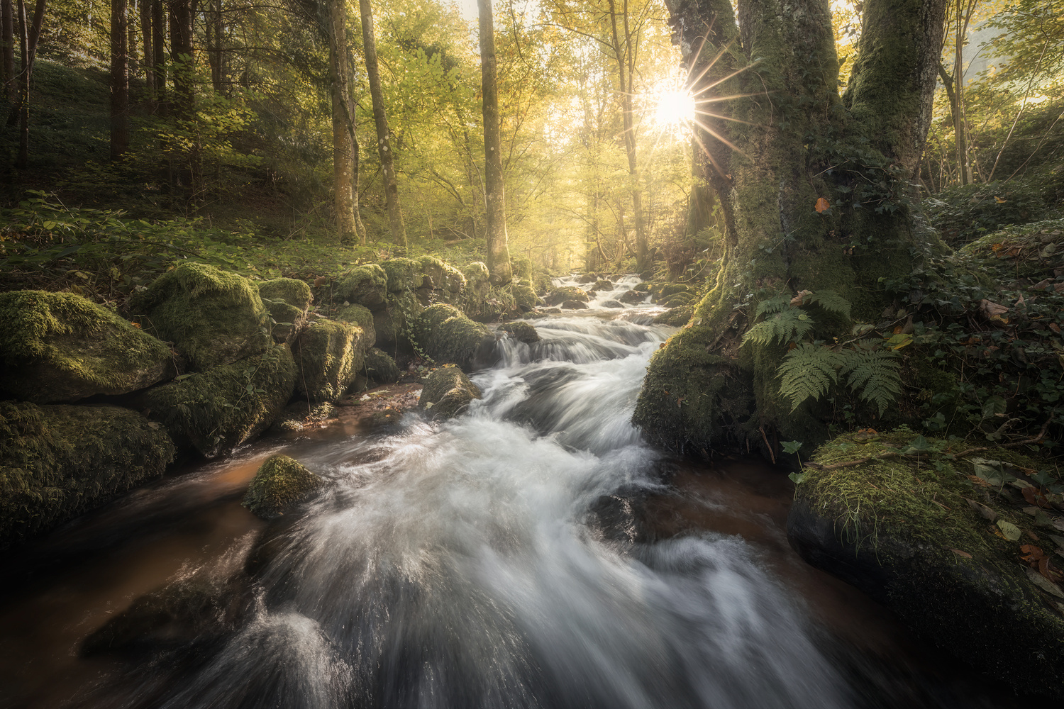 Enchanted Stream - Benjamin Höger on Fstoppers