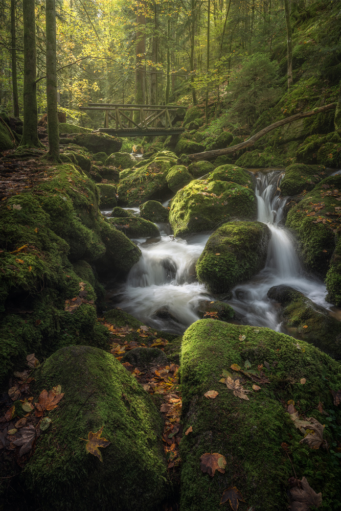 Lush Gorge - Benjamin Höger on Fstoppers