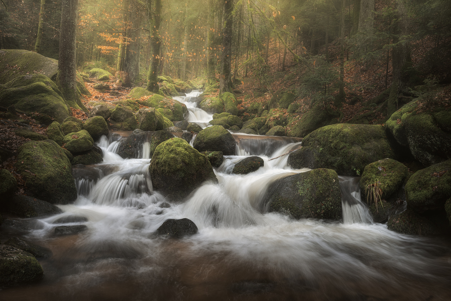 Autumn Flow - Benjamin Höger on Fstoppers