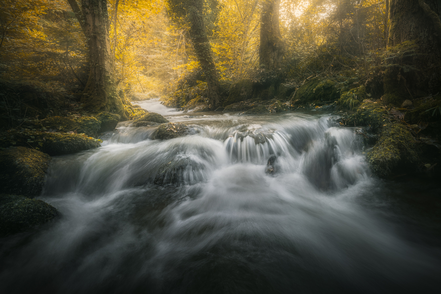 Autumn Flow - Benjamin Höger on Fstoppers