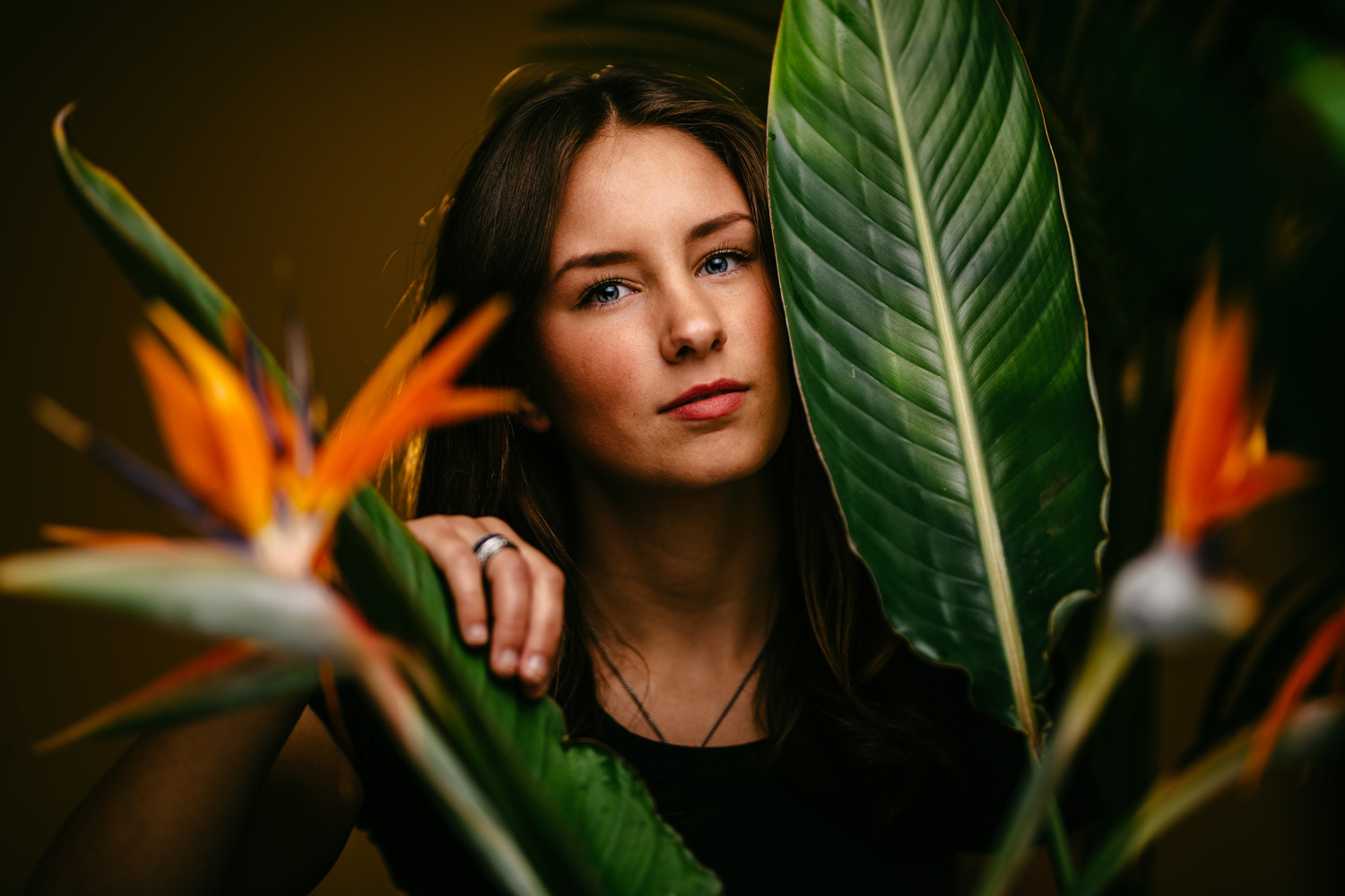Birds of paradise by Justin Manders | Fstoppers