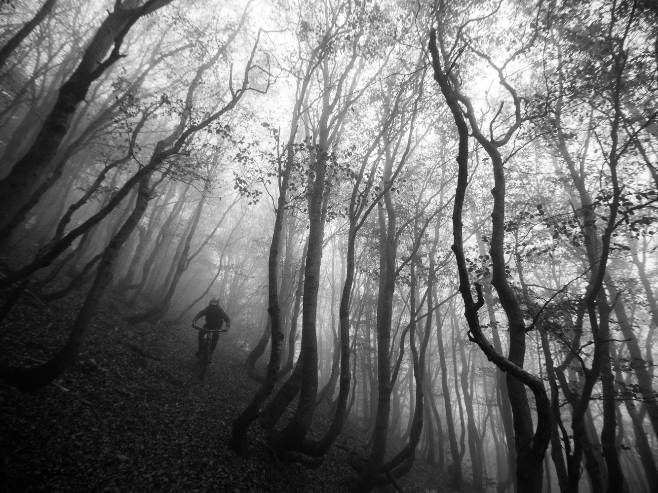 Scary lines - Andrej Grznar on Fstoppers