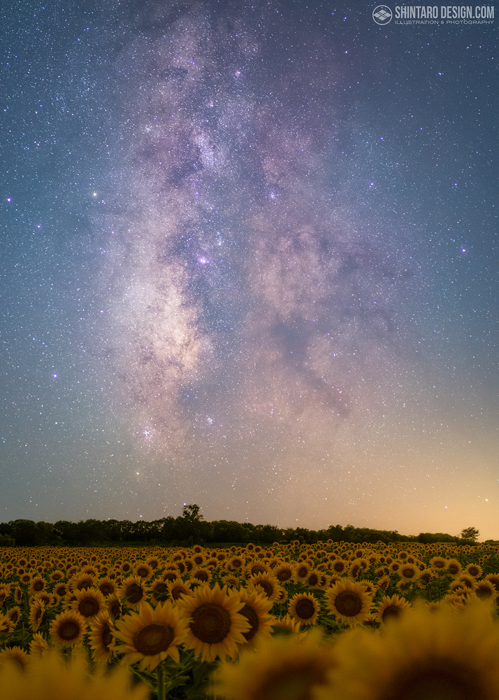 Kansas Milky Way - Shintaro Maeda on Fstoppers