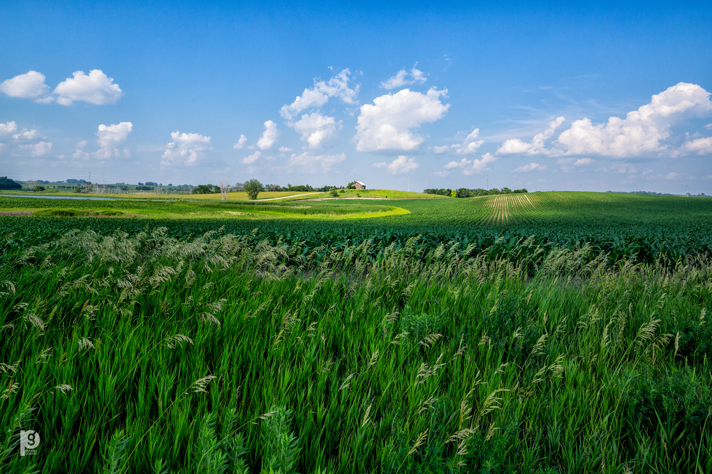 Northern Plains - Pranam Gurung on Fstoppers