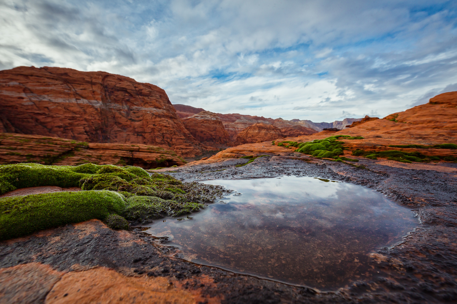 Snow Canyon - Rex Jones on Fstoppers