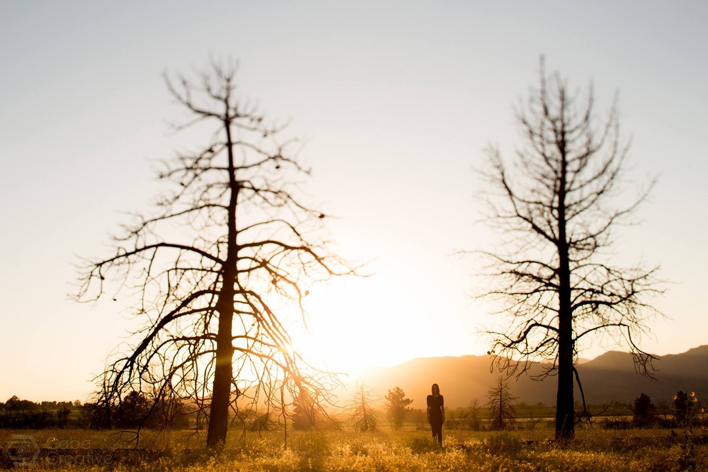 Golden Hour Tree - Brady Cabe on Fstoppers