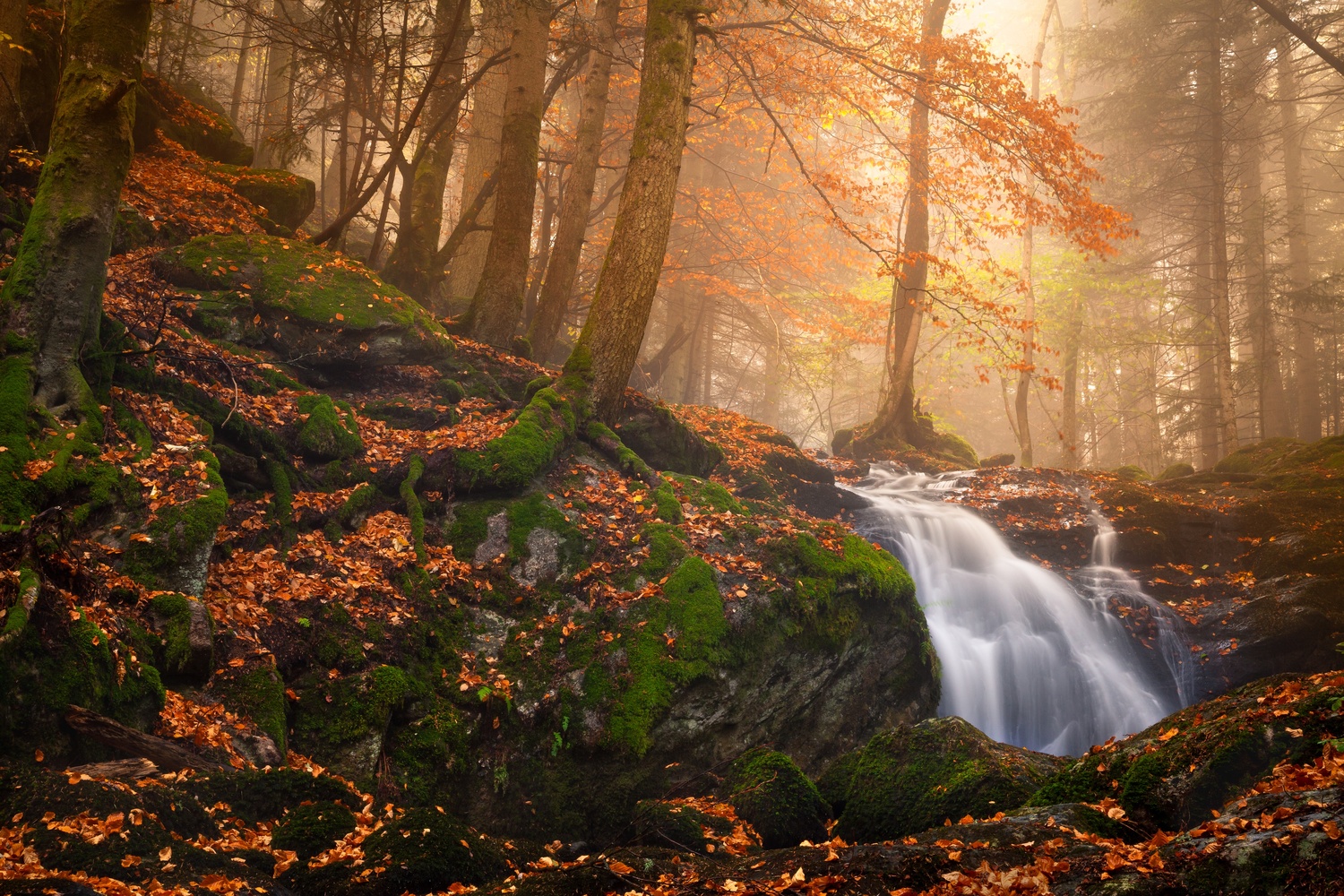 Foggy waterfall - Romeas Thomas on Fstoppers