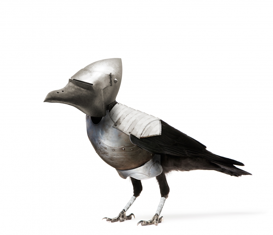 Pratchett's "Armored Raven" - Studio Noir Fluo on Fstoppers