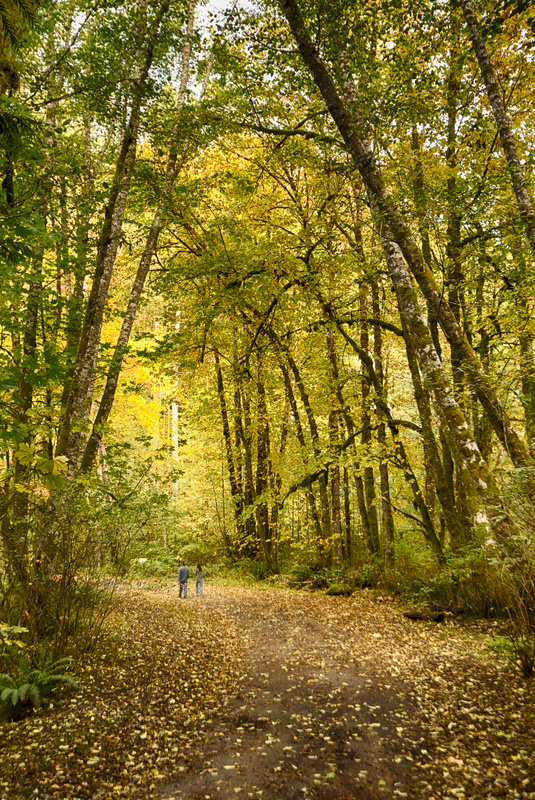Fall Stroll - Rob Bagshaw on Fstoppers