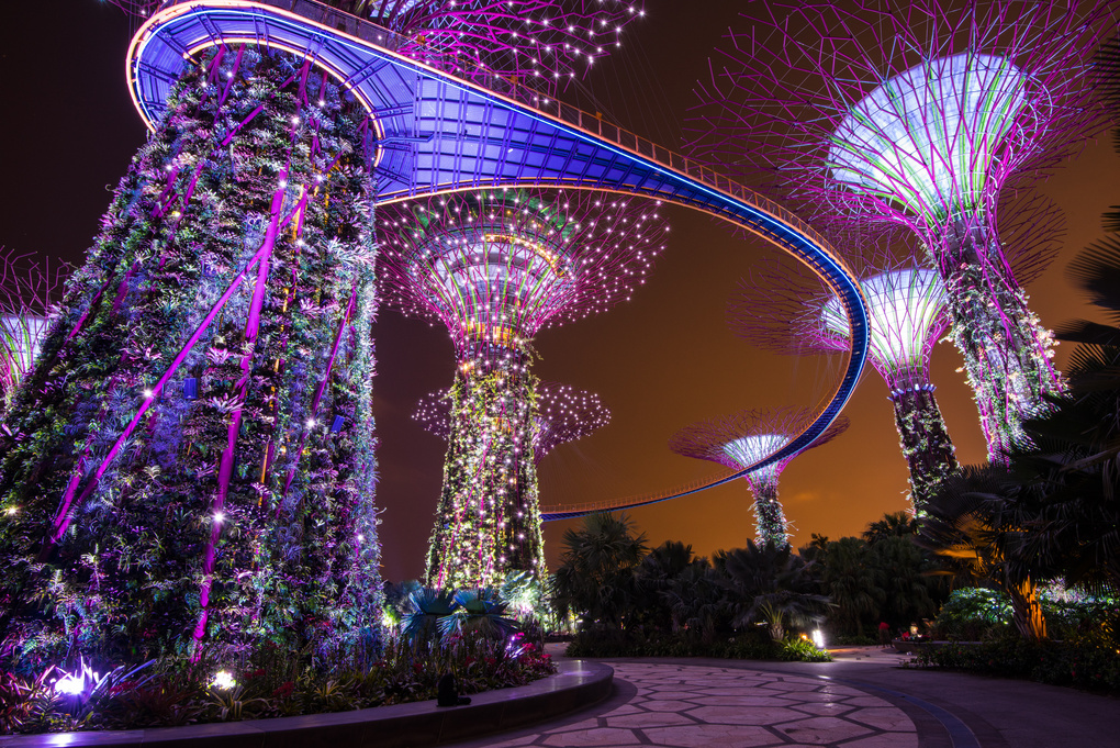 Man-Made Giant Trees - Chi Lin New on Fstoppers