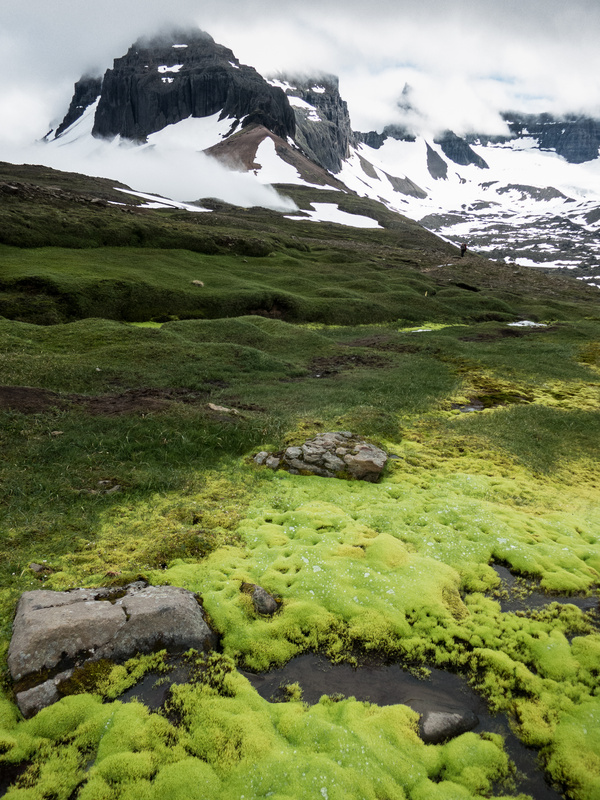 Moss and rocks - Tryggvi Már Gunnarsson on Fstoppers