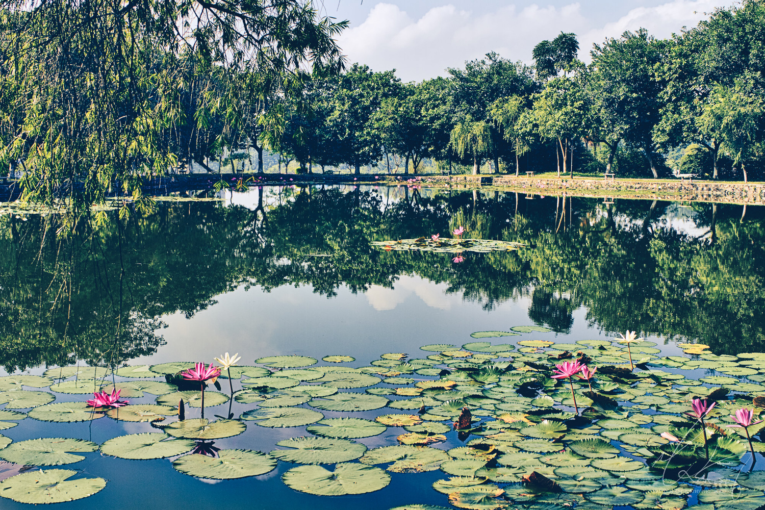 Mirrored Lake by Malcolm Kenworthy | Fstoppers
