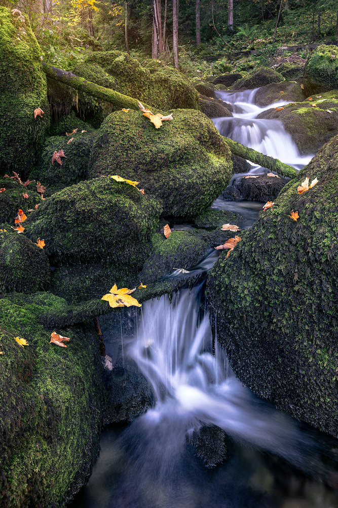 Gollinger Stream | Fstoppers