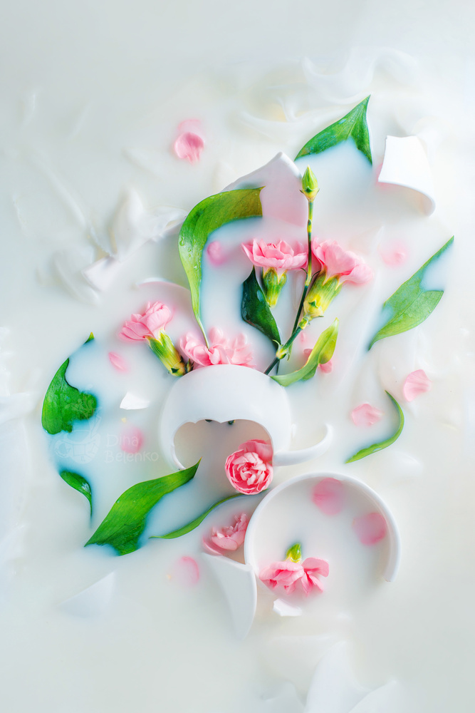 Broken Flowers - Dina Belenko on Fstoppers