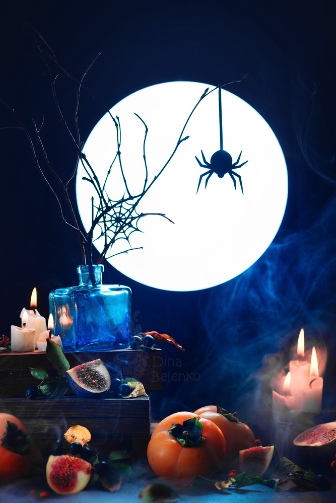 Among dust and candles (Spider Still LIfe) by Dina Belenko | Fstoppers
