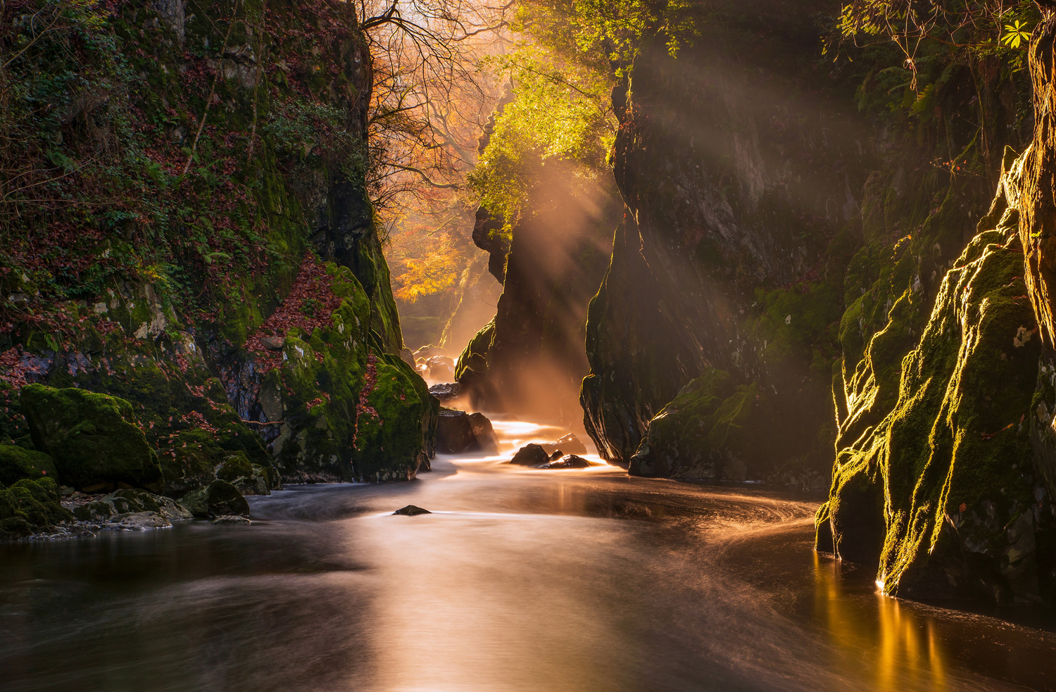 The first signs of light ... - Tomasz Janicki on Fstoppers